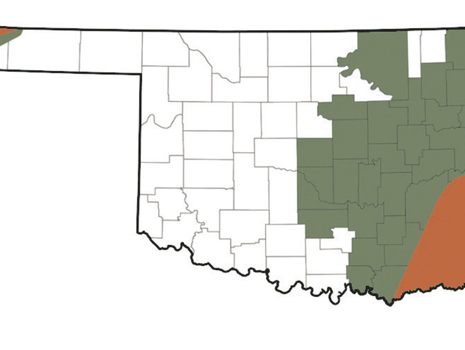 Bear Sighted Near Tushka, Wildlife Officials Offer Safety Tips